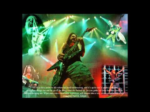 Top 10 Dimebag Solos Youtube