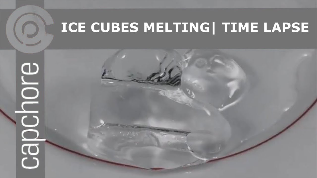 Time Lapse Of Ice Cubes Melting Youtube