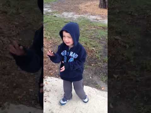 Tantrum Youtube
