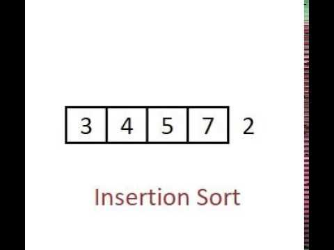 Insertion Sort Animation Video Youtube