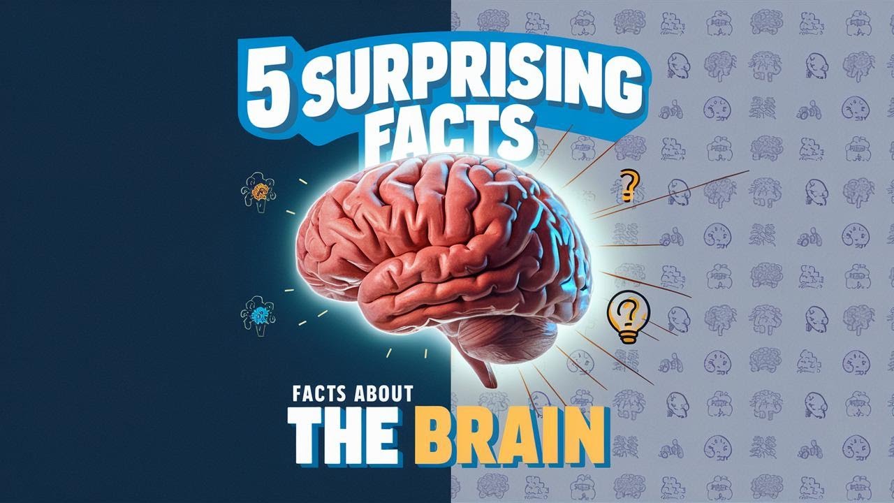 5 Surprising Facts About Human Brain Fact Forge Youtube
