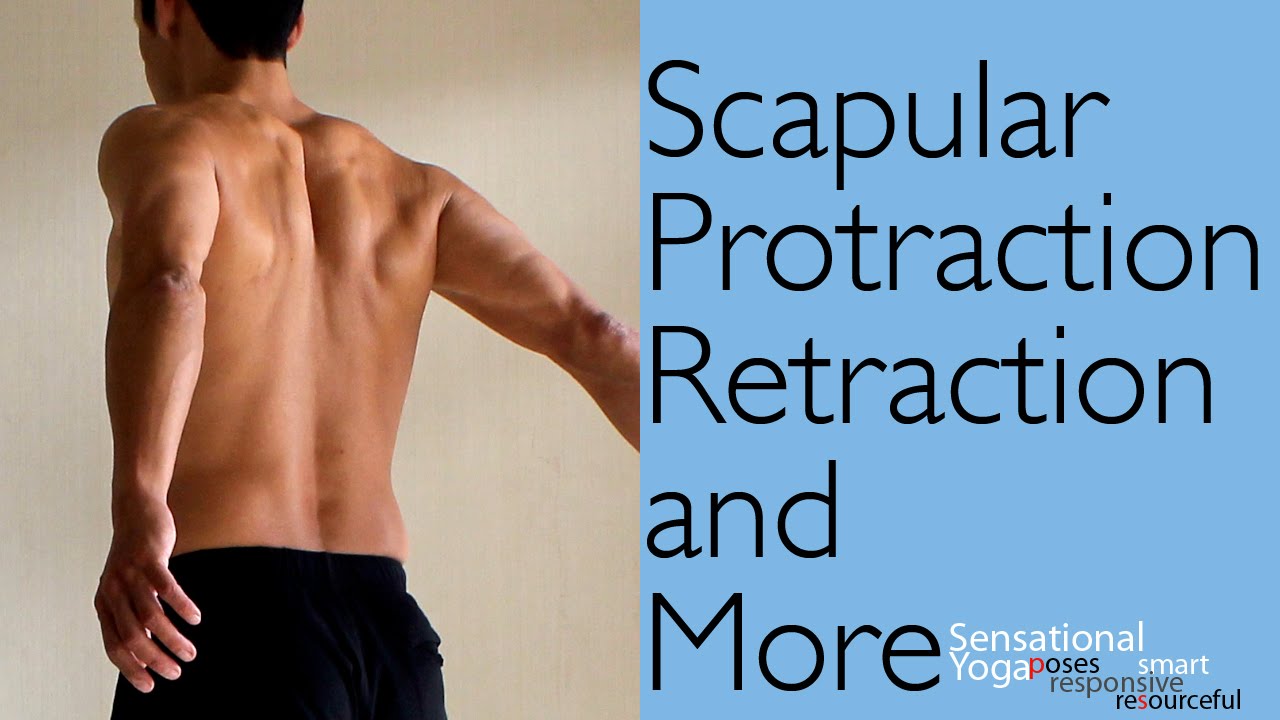 Exercises For Improving Scapular Protraction Retraction And More Youtube