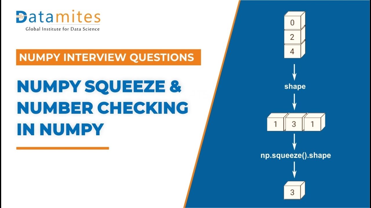 Numpy Squeeze Function In Python Numpy Python Tutorial Youtube
