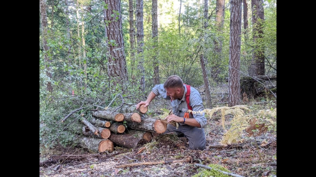 March 2024 Fireside Chat Forest Restoration Youtube