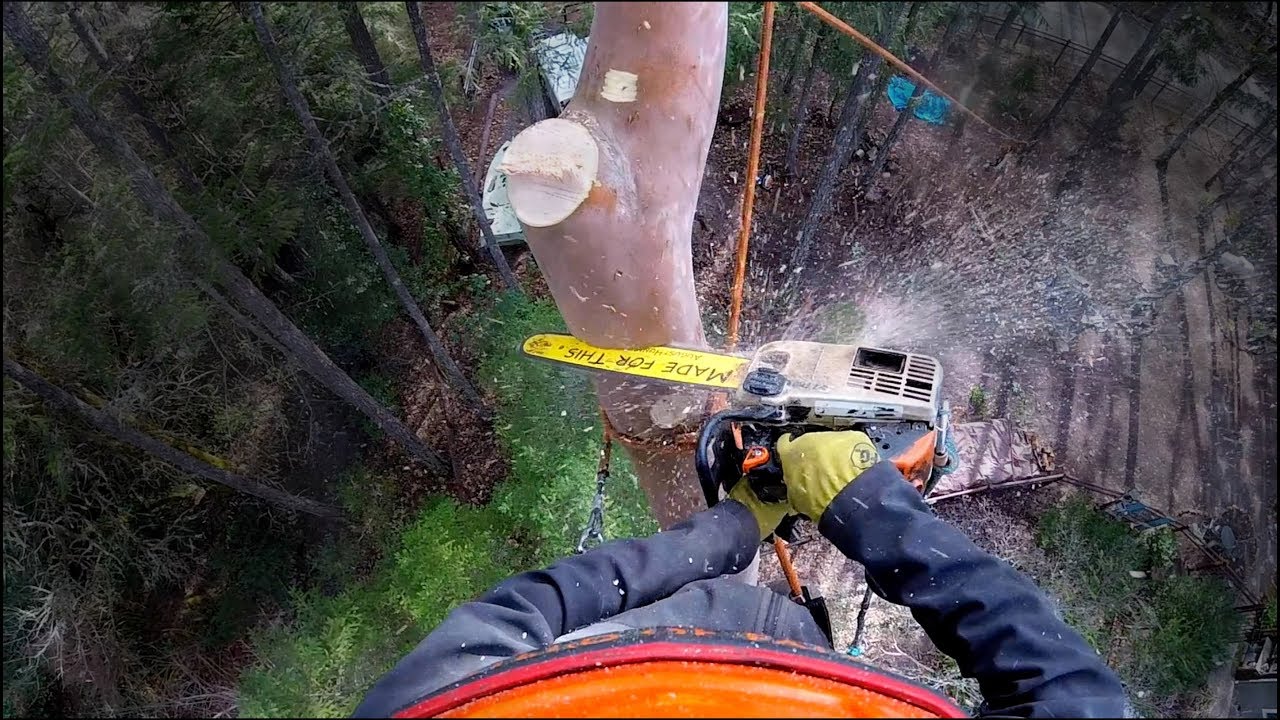 Natural Crotch Rigging Pt 2 Youtube