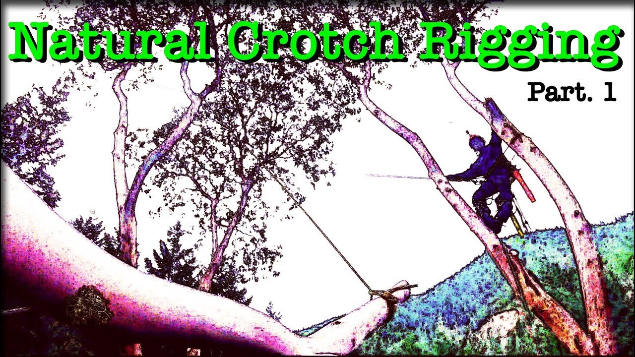 Natural Crotch Rigging Pt 1 Youtube