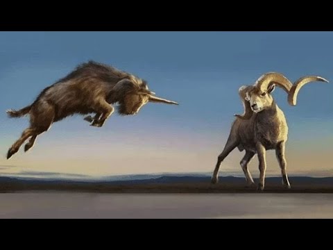 Daniel 8 El Carnero El Macho Cabrío Y El Cuerno Pequeño Una Visión