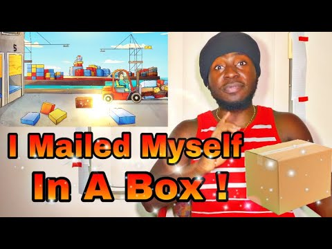 I Mailed Myself In A Box Meet Arnold Sun Reaction Video Youtube