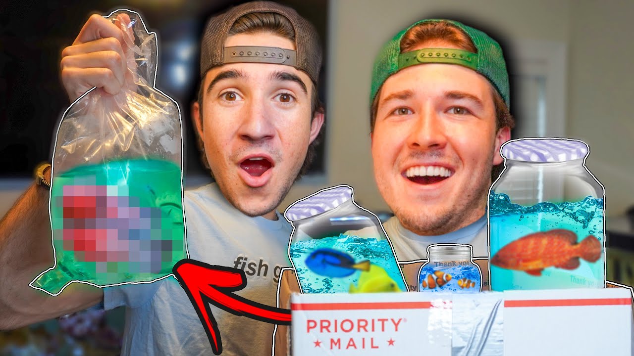 What S Inside This Live Fish Mystery Box Youtube
