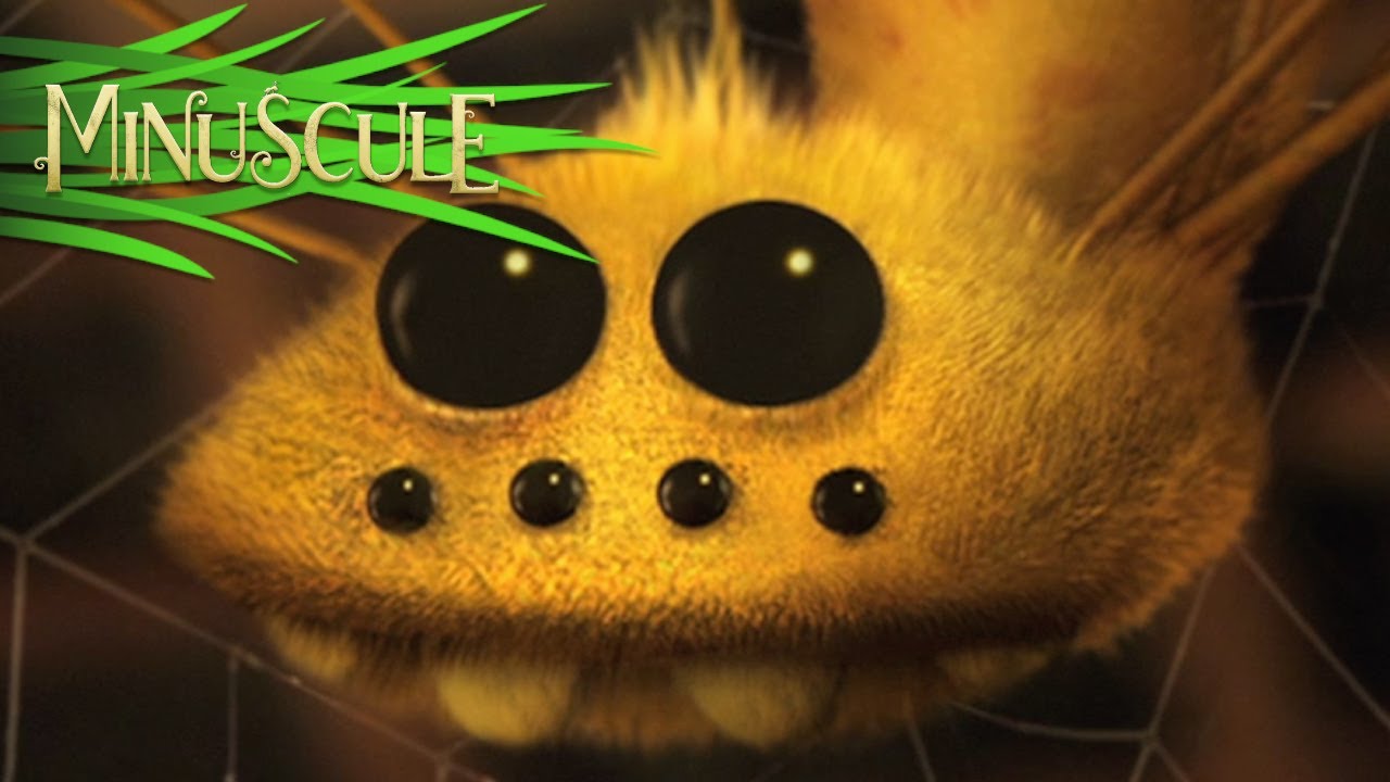 Minuscule Compilation 4 Youtube