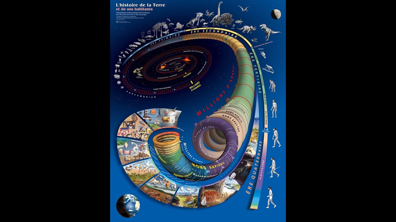 Evolution De La Vie Sur La Terre By Minani