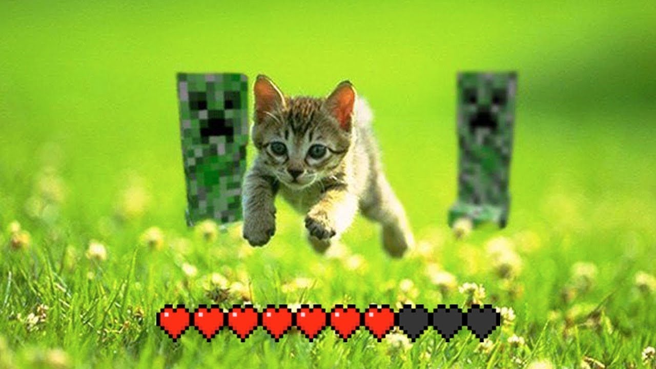 Minecraft Memes Compilation Youtube