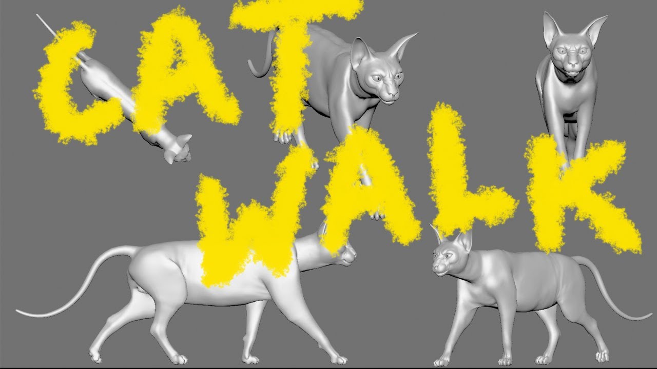 Cat Walk Cycle Animation Youtube
