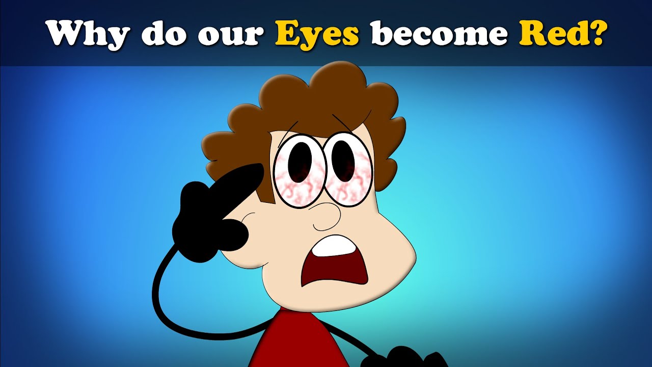 Why Do Our Eyes Become Red More Videos Aumsum Kids Science