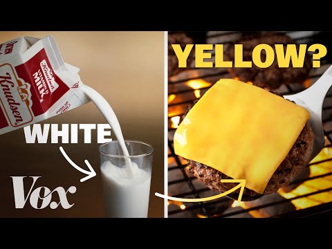 The Real Reason Cheese Is Yellow Safe Videos For Kids