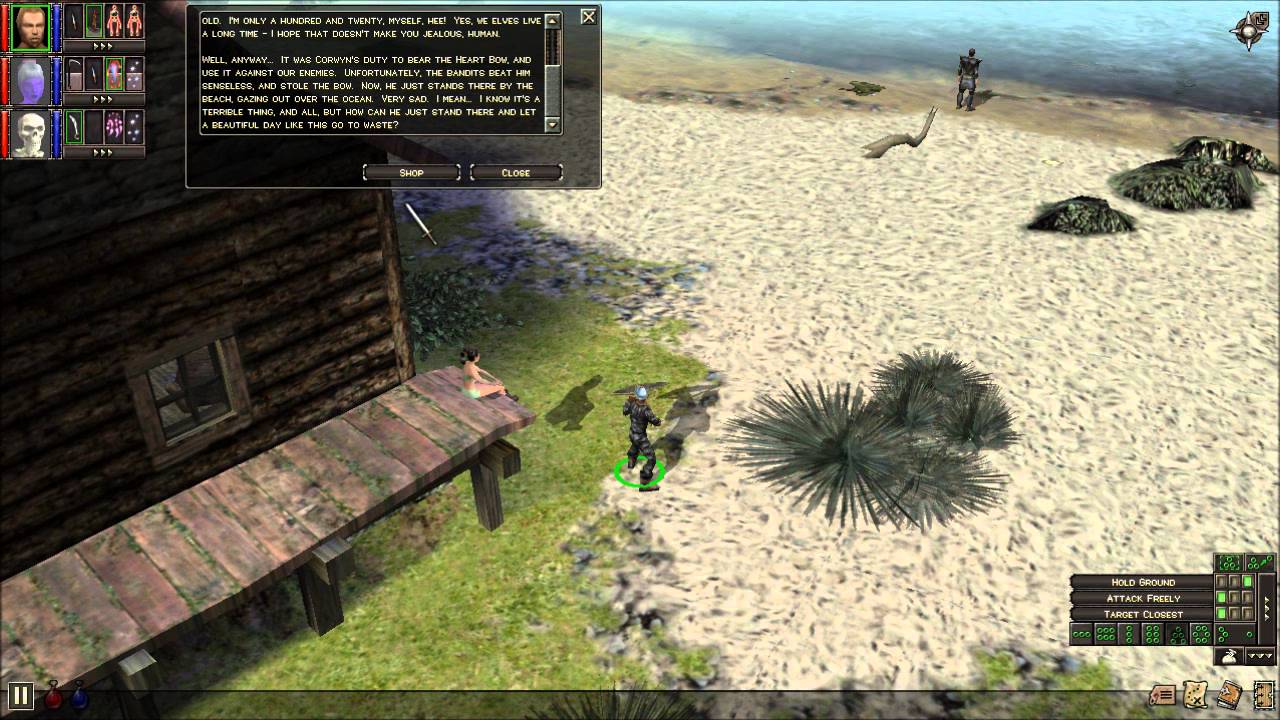 Dungeon Siege Lands Of Hyperborea Part 51 The Light Elf City Of Tir