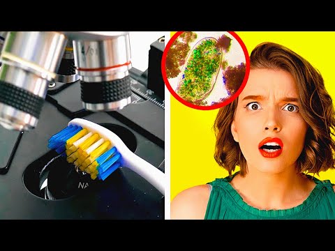 Common Objects Under Microscope 26 Home Experiments Youtube