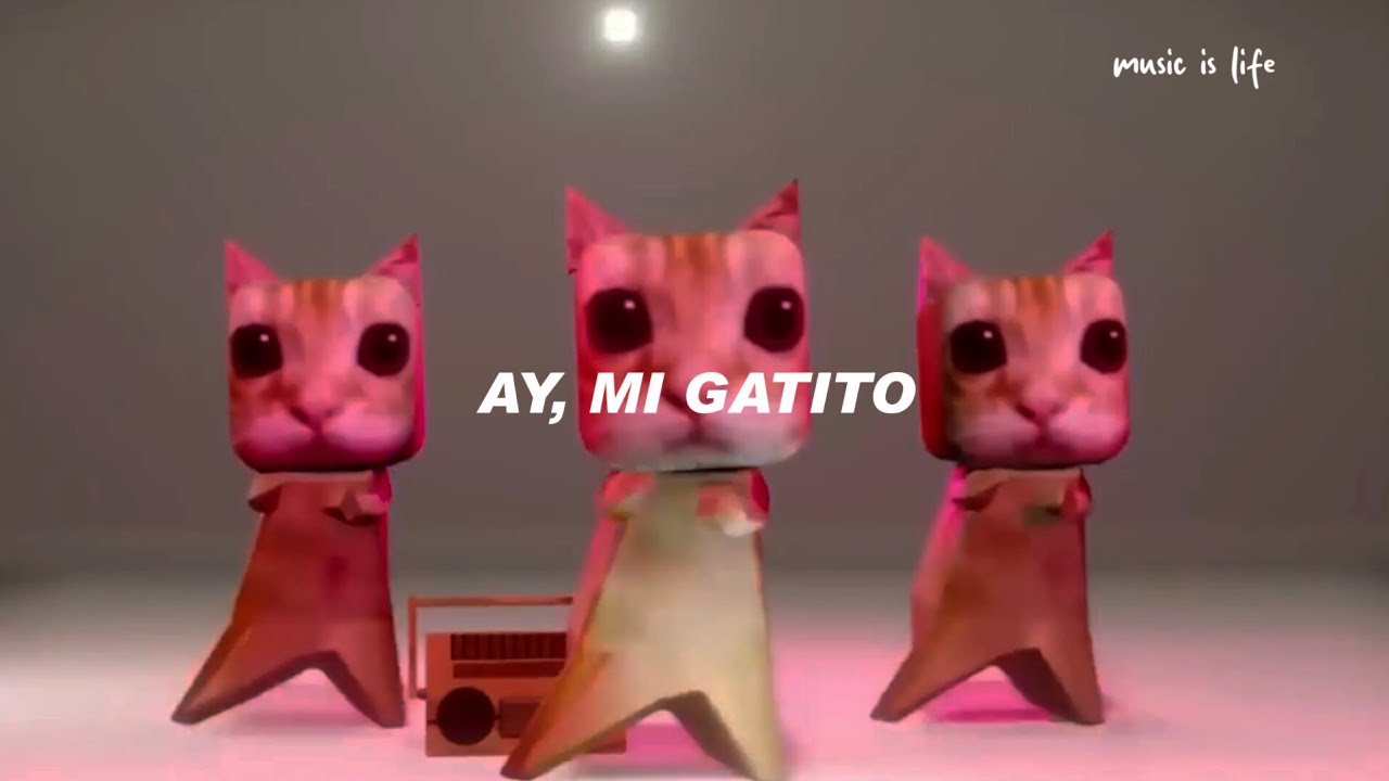 Ay Mi Gatito Miau Miau Mezybeats Song Lyrics Music Videos Concerts