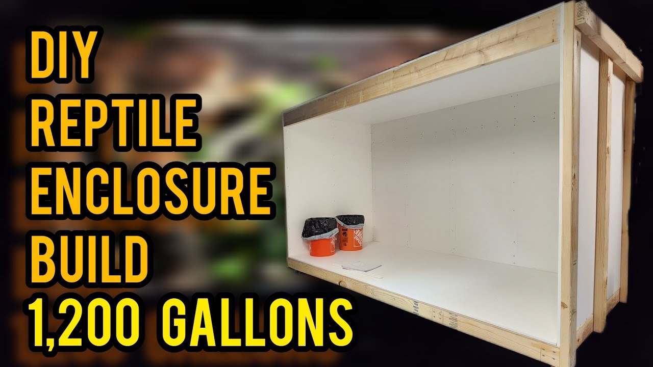Building A Reptile Enclosure Diy Reptile Enclosures