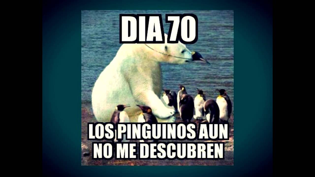 Imagens Graciosas Memes Imágenes Y Memes Chistosos 2016 Imagenes