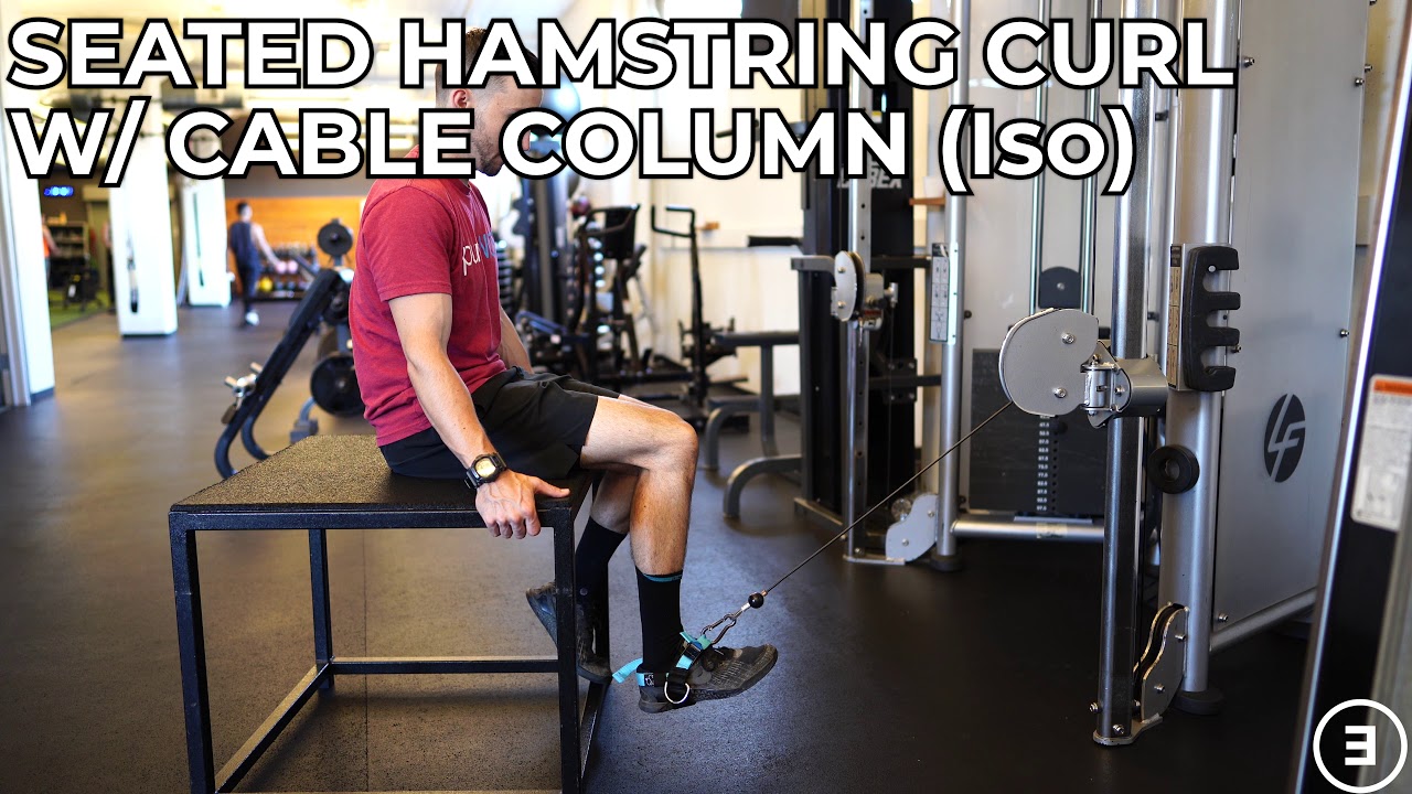 Cable Leg Curls At John Macdonald Blog