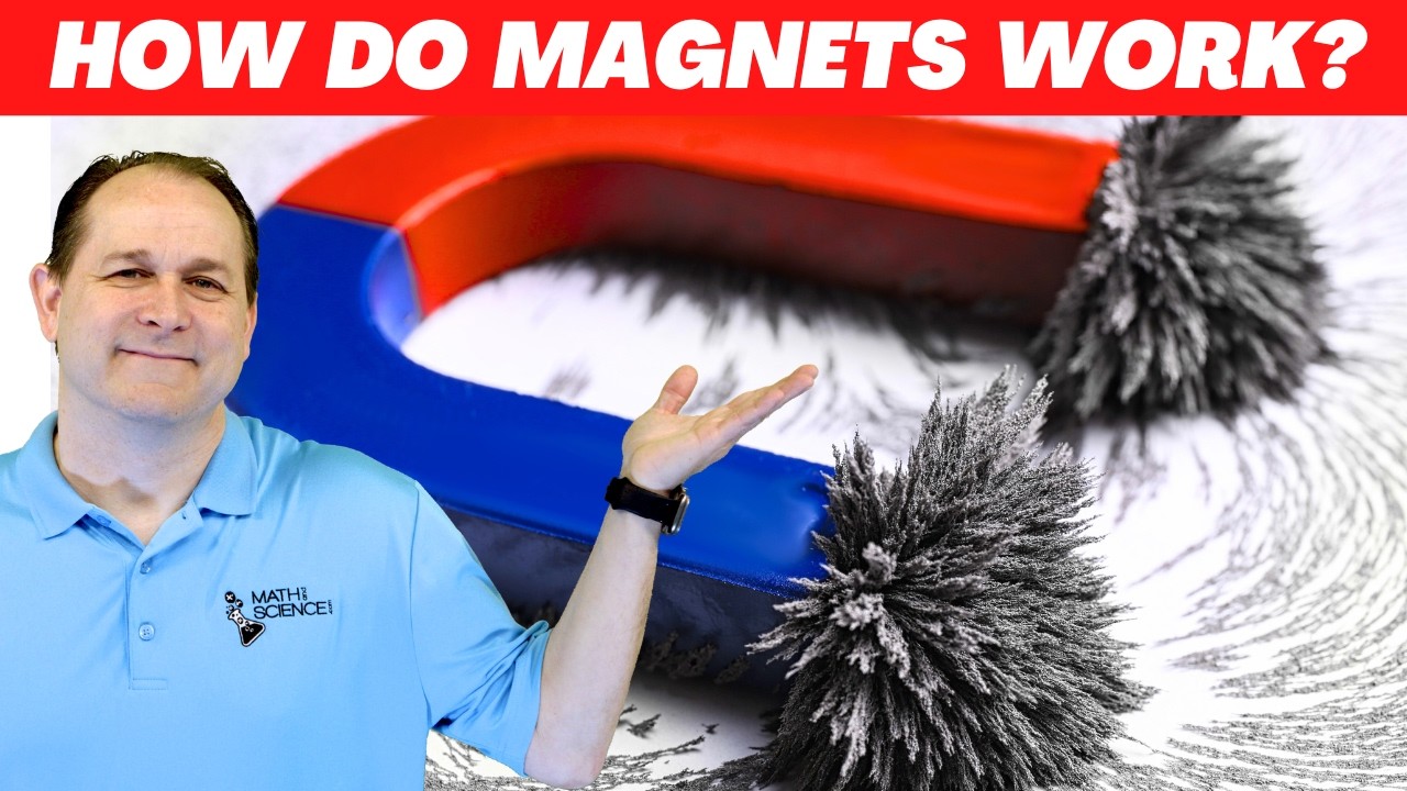 Magnets Man How Do They Work At Joel Donovan Blog