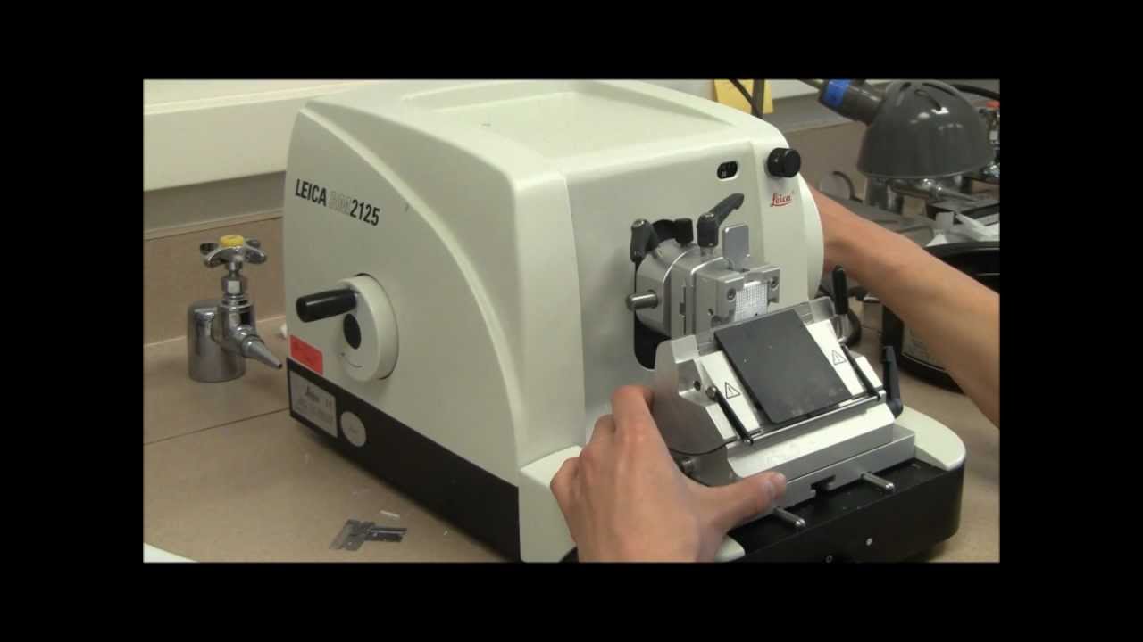 Microtome Sectioning Tutorial Youtube