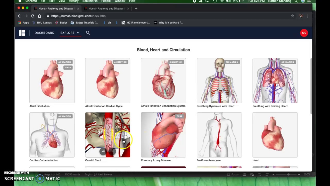 How To Use Biodigital Human Youtube