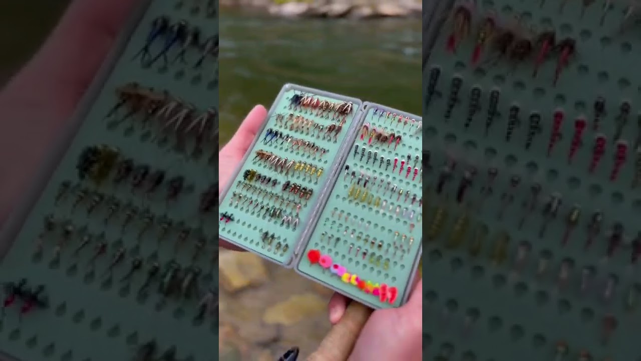 Does Your Fly Box Look Like This Shorts Youtube