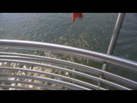 Solarlab Youtube