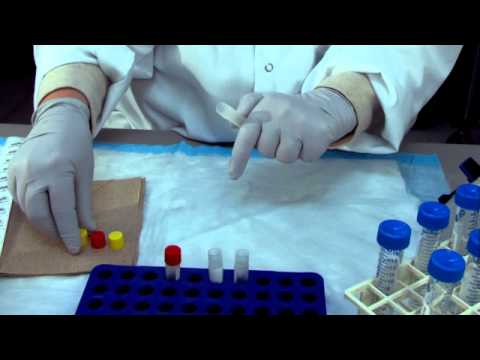 Aliquoting Demonstration How To Video Youtube