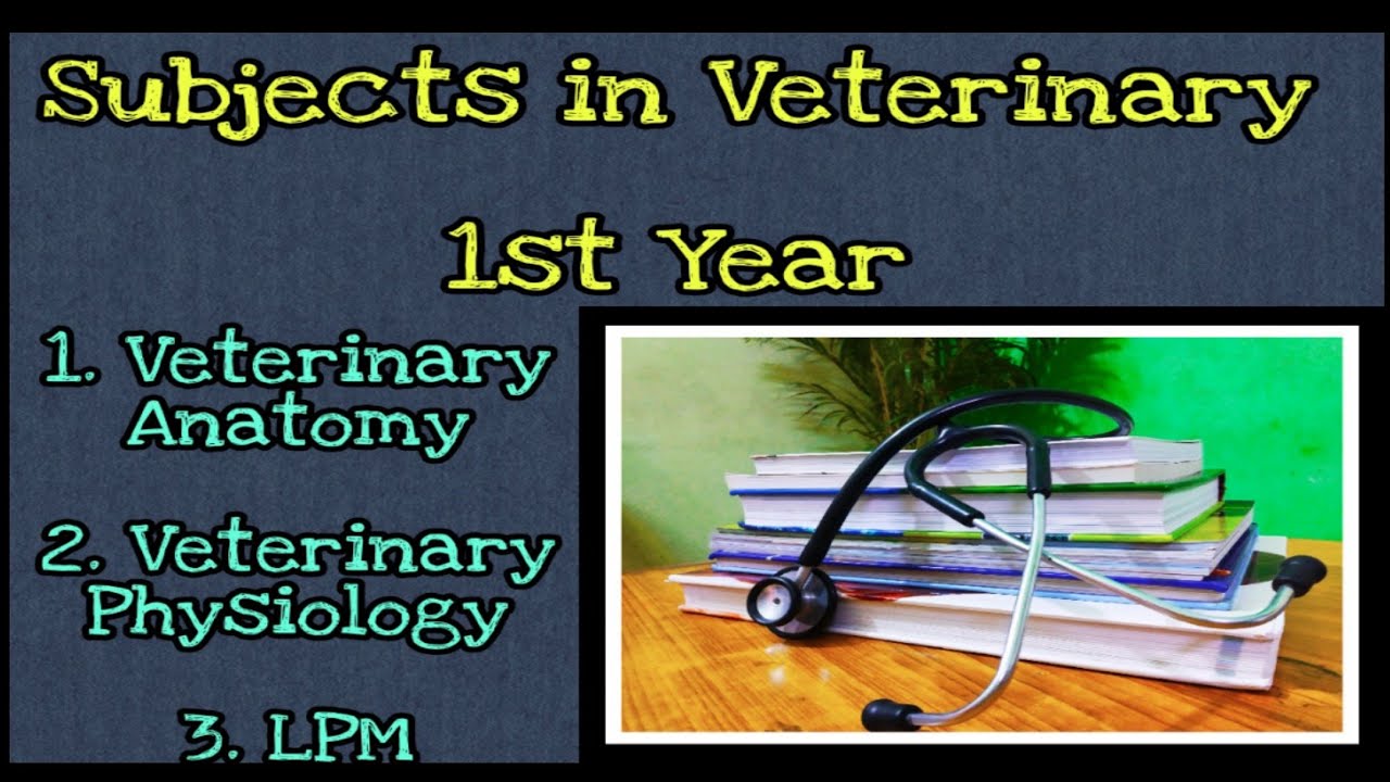 Subjects In Veterinary 1st Year Complete Description By Aniket Tyagi