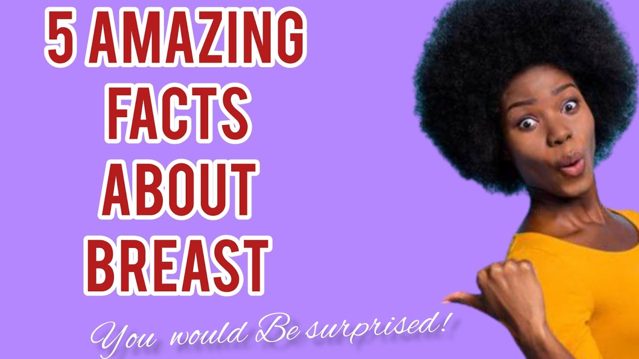 5 Mind Blowing Facts About Boobs Things About The Breast You Never