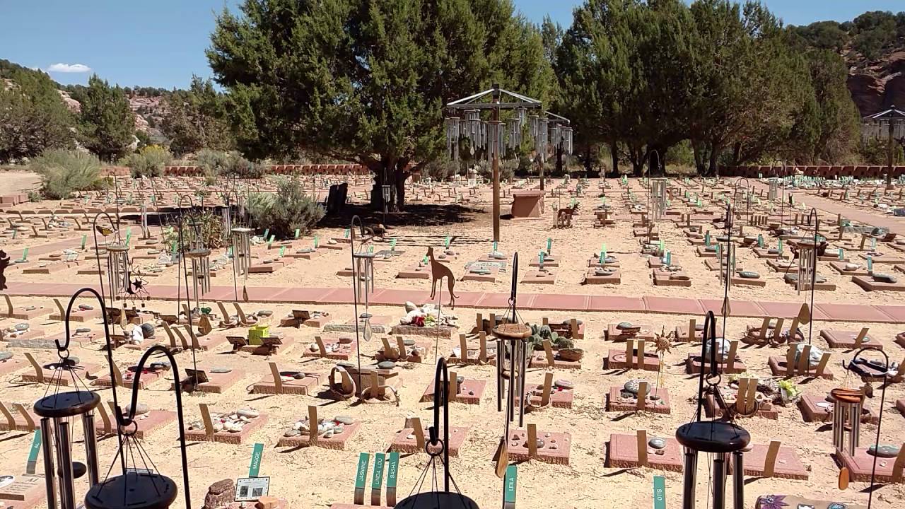 Angel S Rest At Best Friends Animal Sanctuary Kanab Utah Youtube