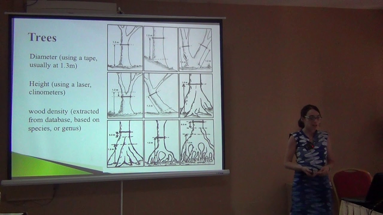 Bitc2 Ess Ebv Course Measure Carbon 1 Youtube