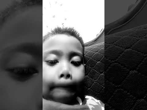 28 November 2024 Youtube