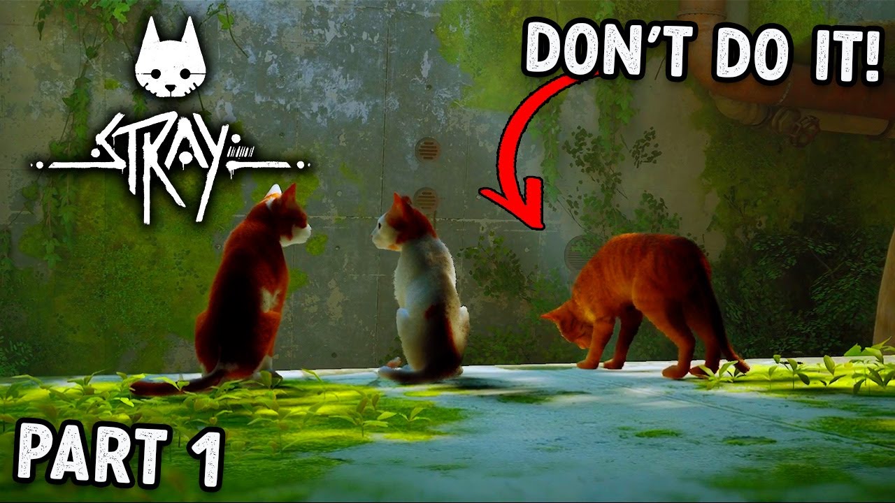 Stray Gameplay Walkthrough On Pc Part1 Youtube