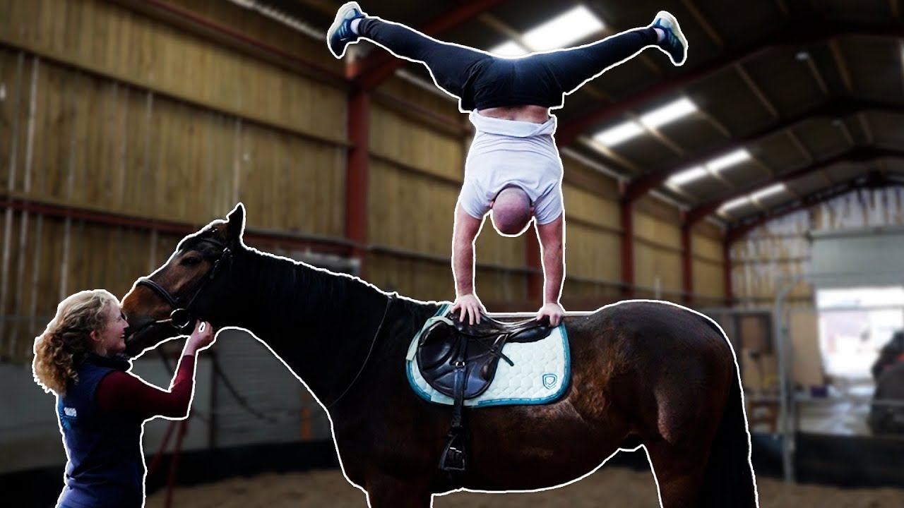 Can A Gymnast Backflip On A Horse Youtube