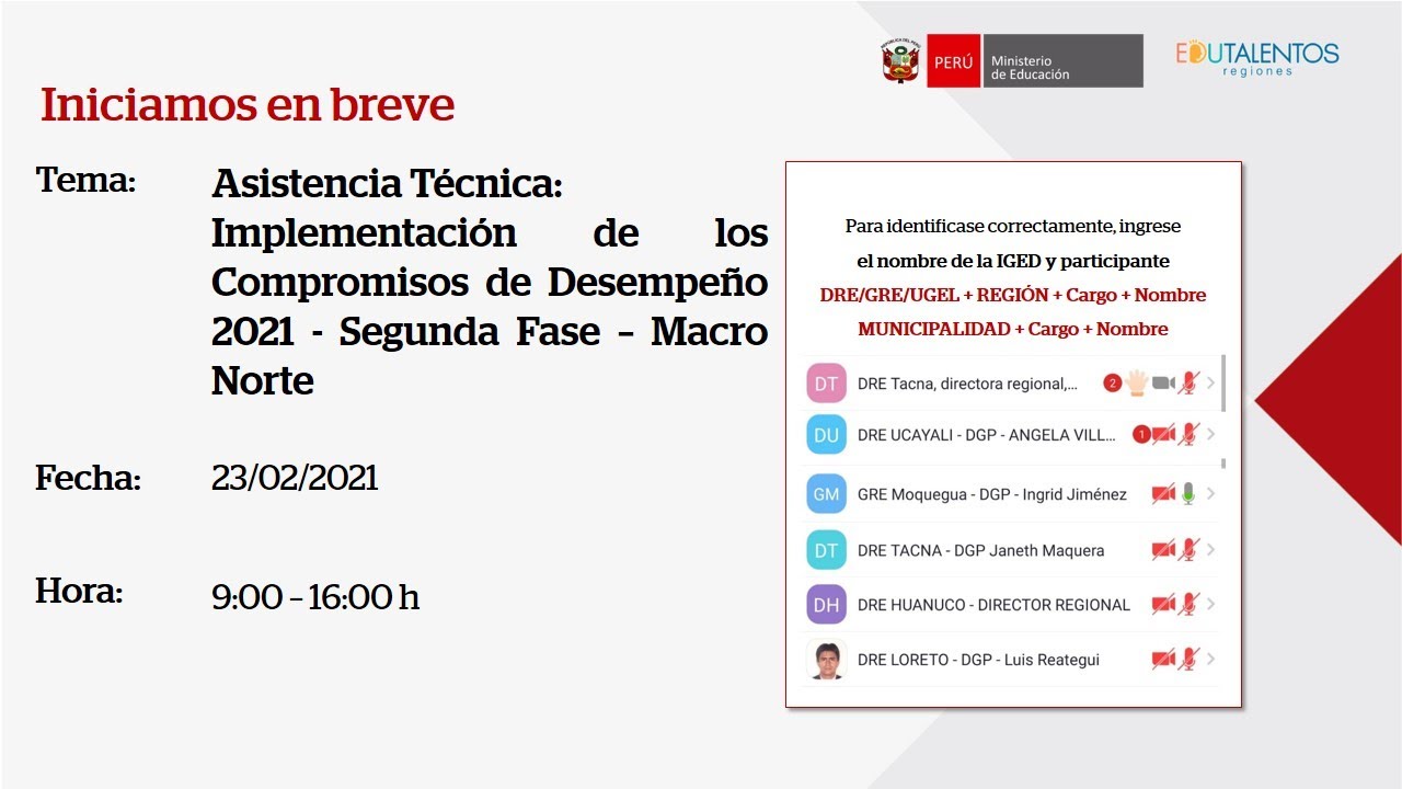 Asistencia Técnica Implementación De Los Compromisos De Desempeño 2021