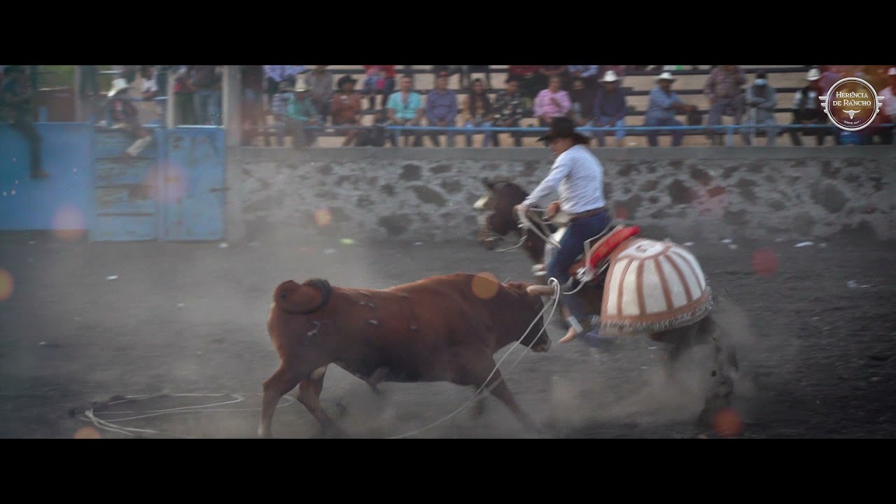 El Arte Del Jaripeo Bravo El Pajaro De San Martin Youtube
