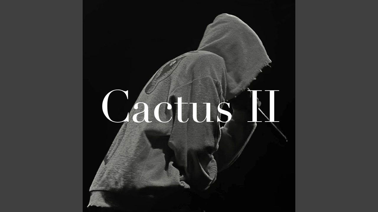 Cactus 2 Youtube