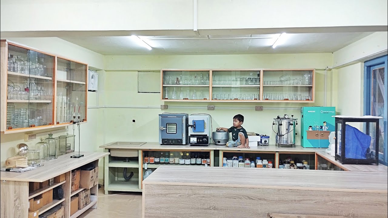 Lab Home Pics At Ellen Franklin Blog