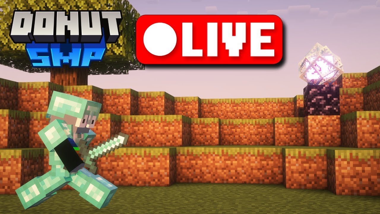 рџќ Donut Smp Liveрџ ґ Rating Bases Chilling 10k Per Base Youtube