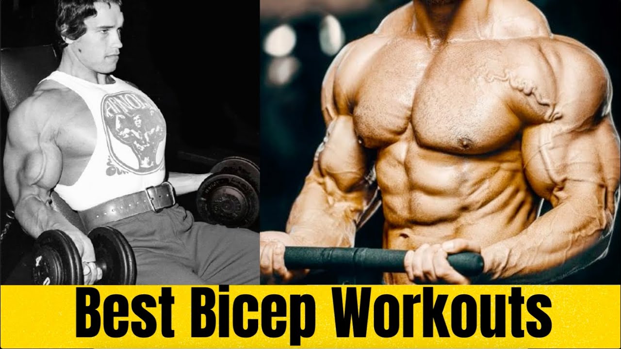 Best Bicep Workouts Youtube