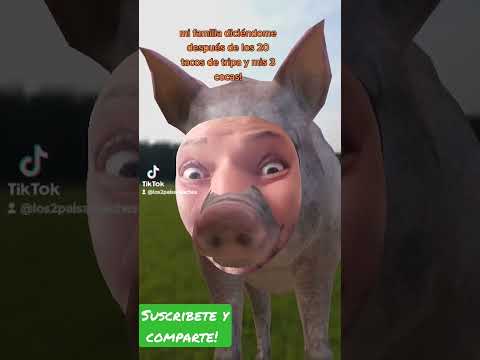 Marranito Youtube