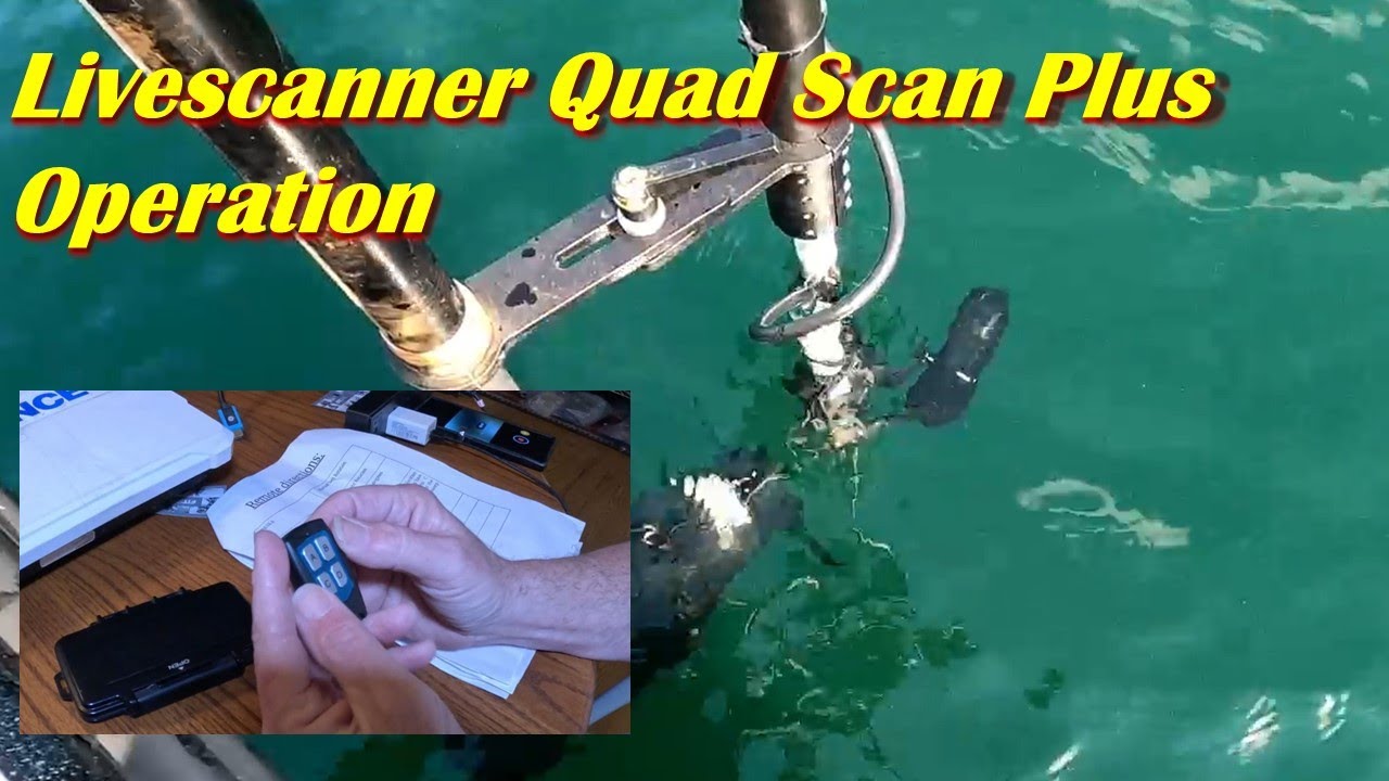 Livescanner Quadscan Plus Operation Youtube