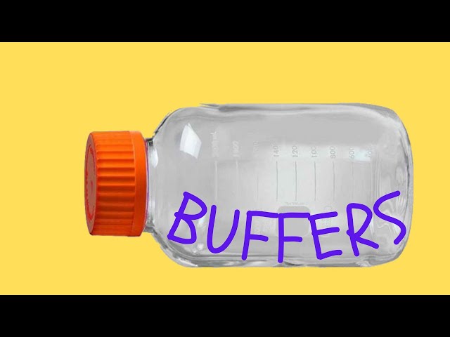 Flow Cytometry Staining Buffer Composition Infoupdate Org