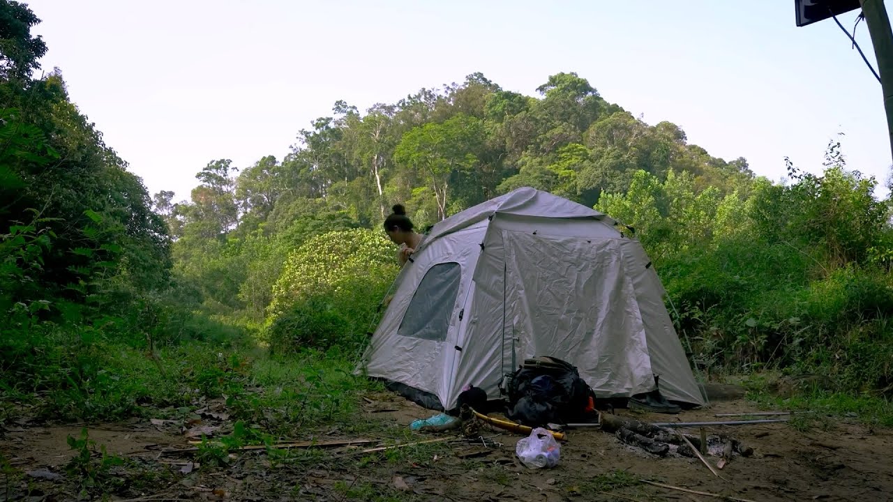 Girl Solo Bushcraft Camping Alone In The Forest With My Dog Relaxing