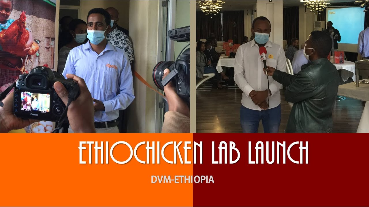 Ethiopia Ethiochicken Laboratory Launch Youtube