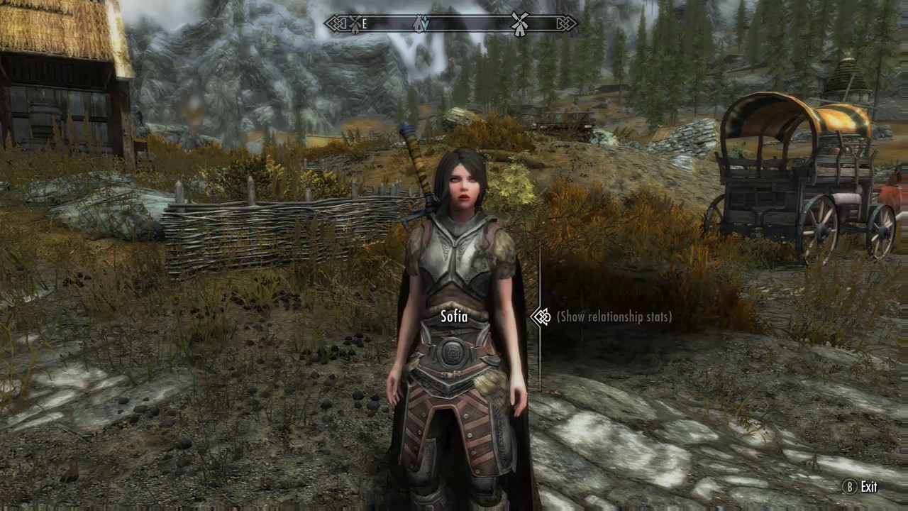 Best Voiced Follower Skyrim Arenavamet